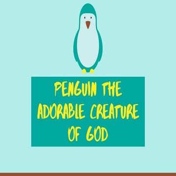 Penguin the adorable creature of god | PPT