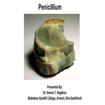 Penicillium Pptx