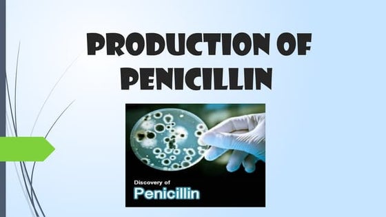 Penicillin Fermentation Process (Industrial production of Penicillin ...