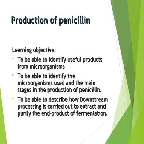 production of penicillin | PPT