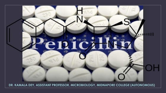 Production of Penicillin by Fermentation | PPTX | Chemistry | Science
