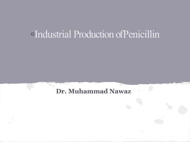 Penicillin production | PPTX