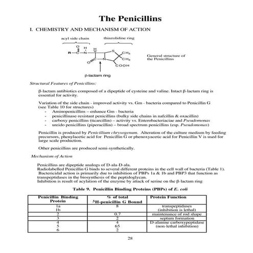 Penicillin's classification