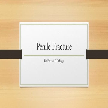 Anatomy of penis and physiology of erection | PPTX