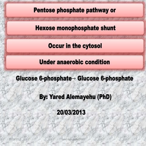Pentose phosphate pathway | PPT