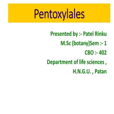 Synergids and its functions , reproductive biology of angiosperms | PPTX