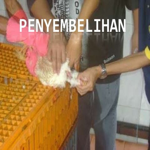Sembelihan Mengikut Syara' | PPTX