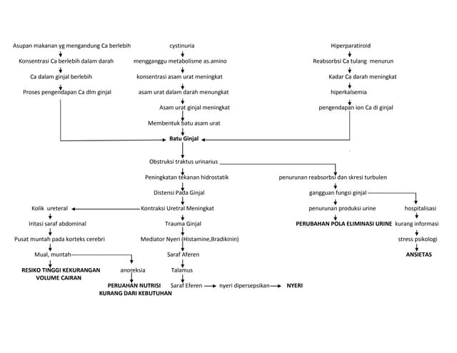 pathway dhfPathway dhf | DOCX