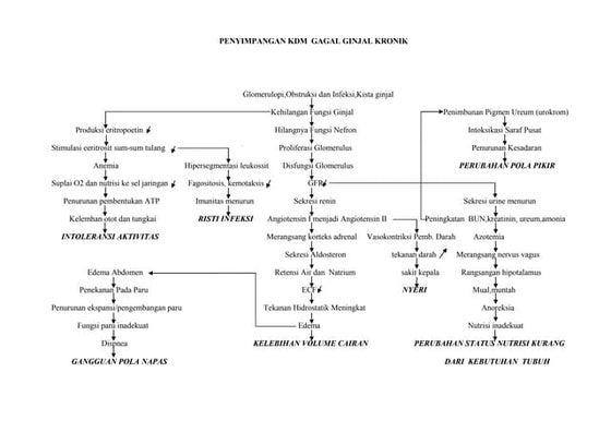 pathway dhfPathway dhf | DOCX