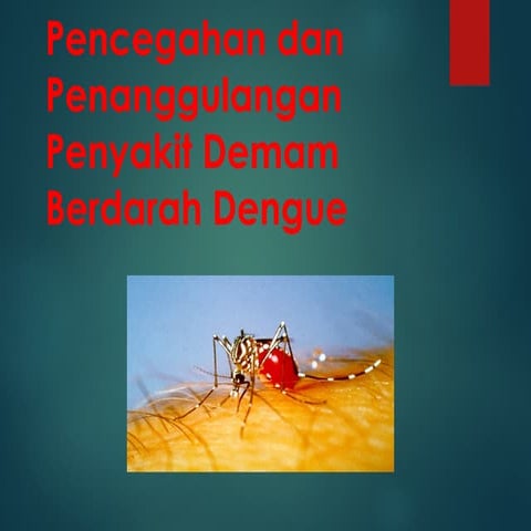 Penyuluhan DBD (Demam Berdarah Dengue) untuk masyarakat.ppt