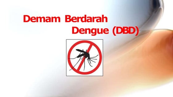 PPT PENYULUHAN TENTANG DEMAM BERDARAH DENGUE | PPT