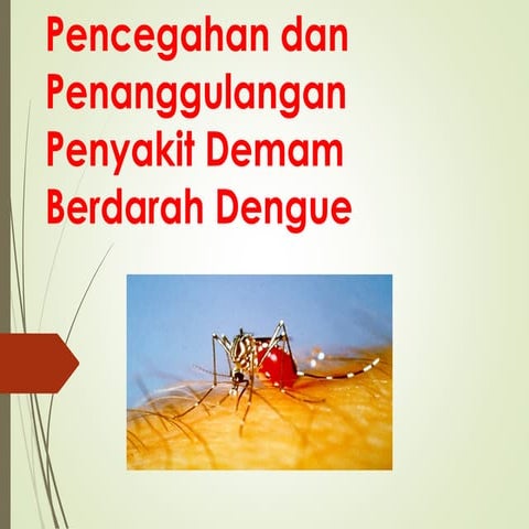 PENYULUHAN Demam berdarah dengue di wilayah puskesmas dan masyarakat | PPT