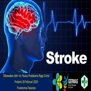 Penyuluhan Stroke pada Prolanis Puskesmas Tanarara | PPT