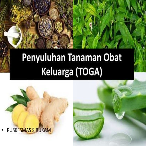 Penyuluhan Tanaman Obat Keluarga (TOGA) FIX.pptx