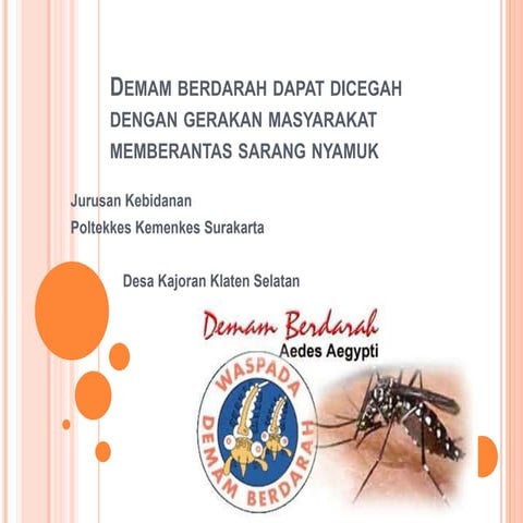 MATERI PENYULUHAN DEMAM BERDARAH | PPTX