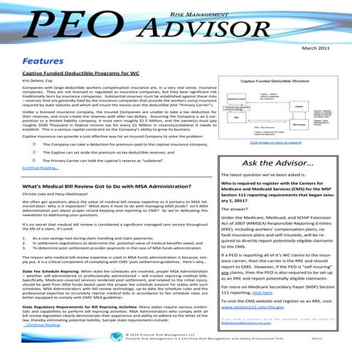 Mrc White Paper Mmsea Section 111 | PPSX