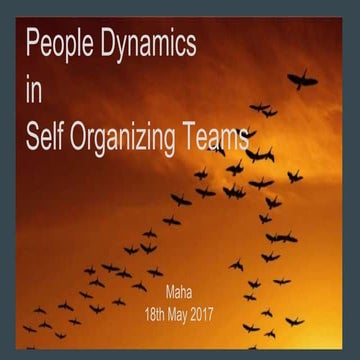 Let's Shape Our Team Identity | PDF