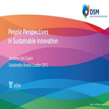 People perspectives in sustainable innovation | PPT