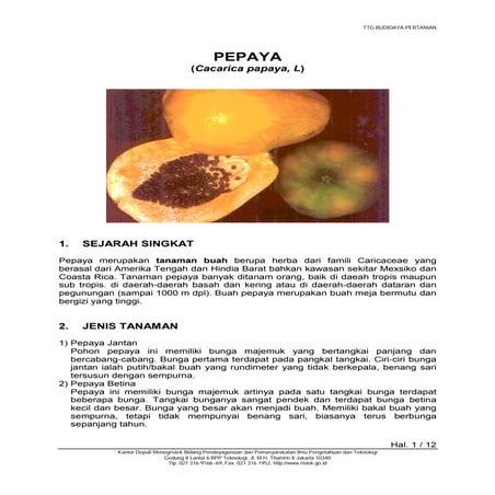 Pepaya | PDF