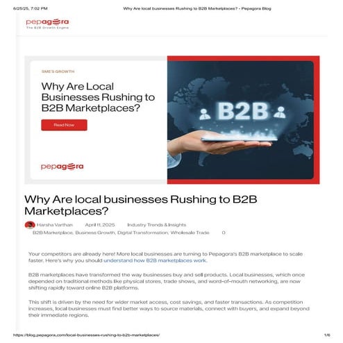 Why Local Businesses Are Rushing to B2B Portals | PDF