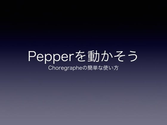 programming camp 2008, Debug | PPT