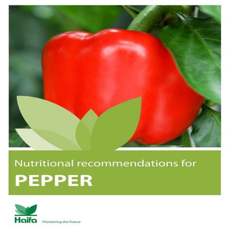 Pepper Crop Guide - Pepper Fertilizers | PDF