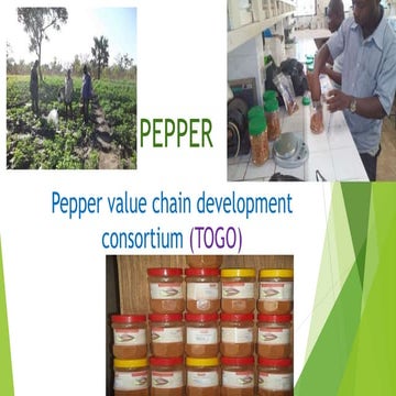 Pepper value chain development consortium (TOGO) | PPTX
