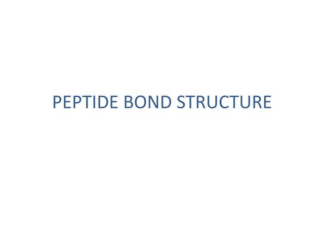 Chapter 3(part1) - Amino acids, peptides, and proteins | PPT