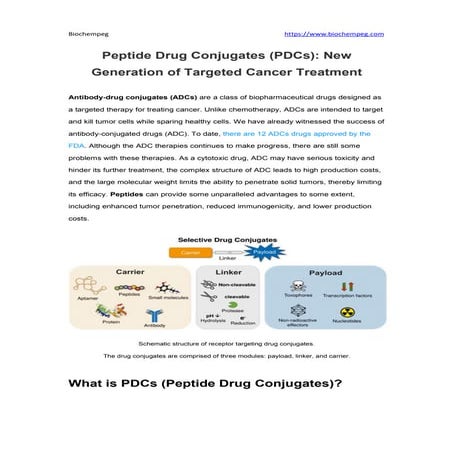 Peptide drug conjugates (pd cs) new generation of targeted cancer ...