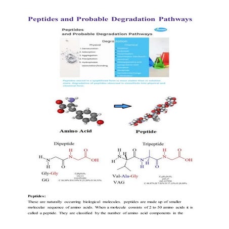 Peptides and probable degradation pathways | DOCX