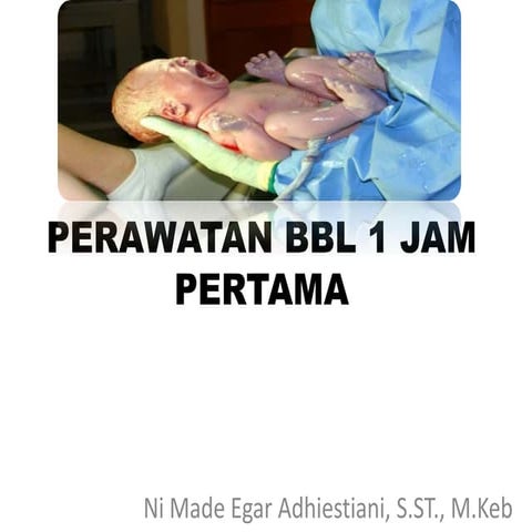 PERAWATAN BAYI BARU LAHIR 1 JAM PERTAMA.pptx