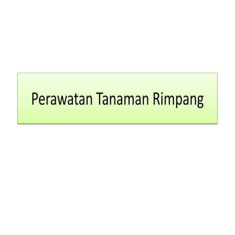 Perawatan Tanaman Rimpang materi.pptx