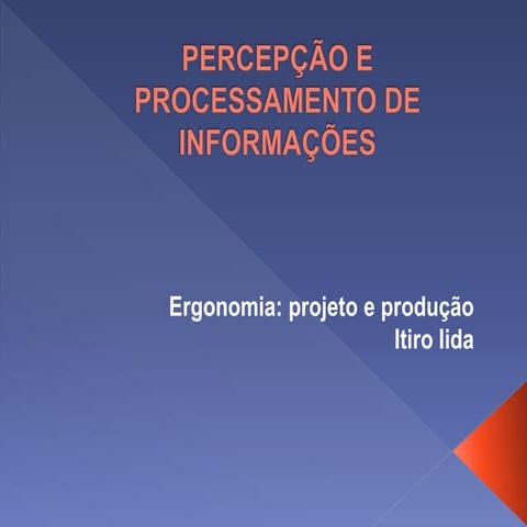 Percepcao e processamento de informacoes | PPTX