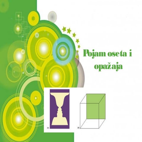 Percepcija gimnаzija | PPT