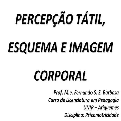 Aula 4: 24/08/2017 - Percepção tátil, esquema e imagem corporal | PDF