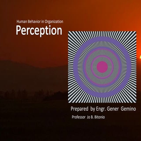 Perception | PPT | Science