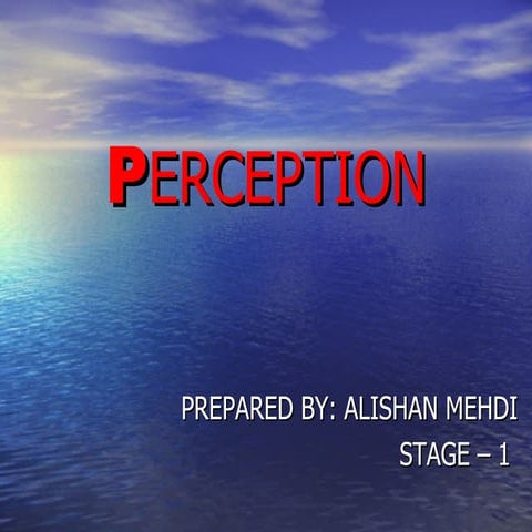 Perception | PPT