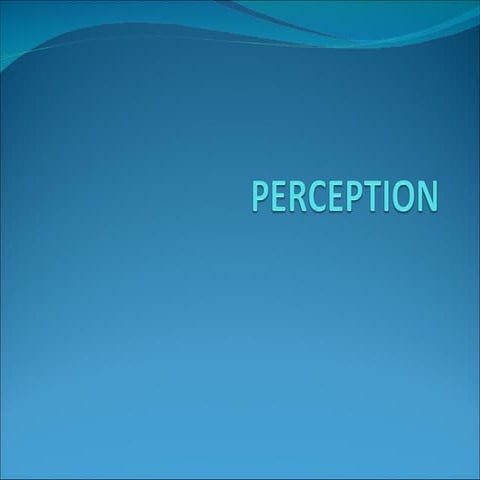 Perception | PPT