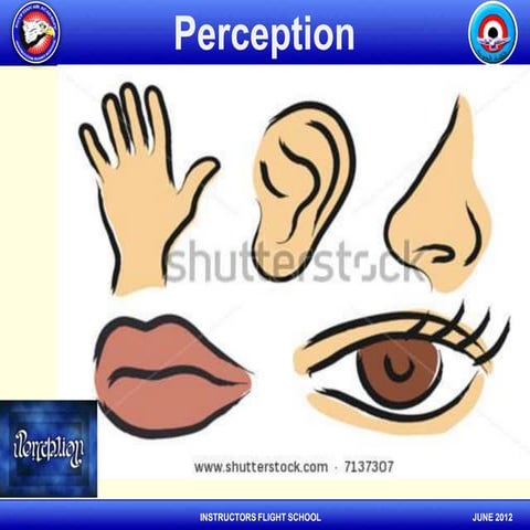 Perception | PPT