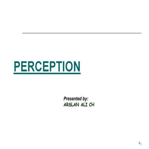 Perception | PPT