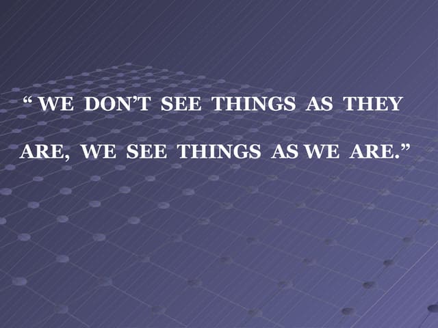 Perception | PPT