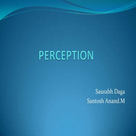 Perception | PPT