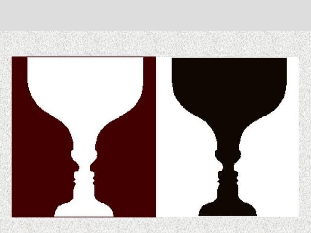 Individual behavior and perception | PPTX