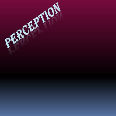 Perception | PPTX