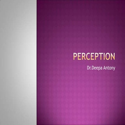 Perception | PPT