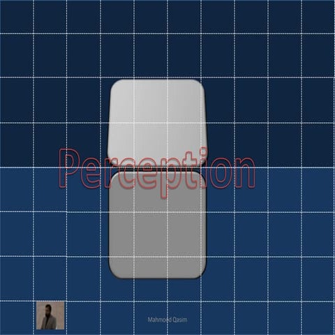 Organizational Behaviour for MBA and BBA students Topic 'Perception' | PPTX