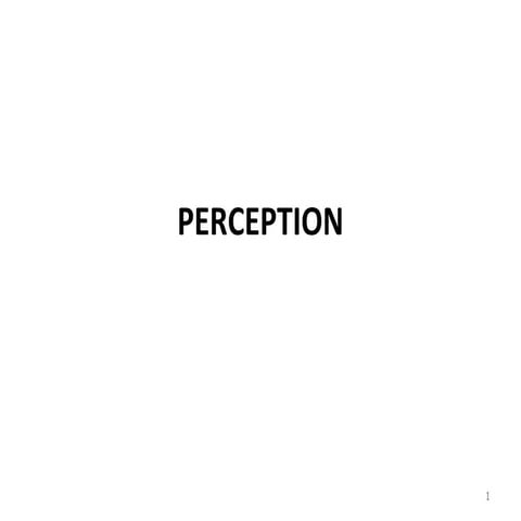 Perception | PPT