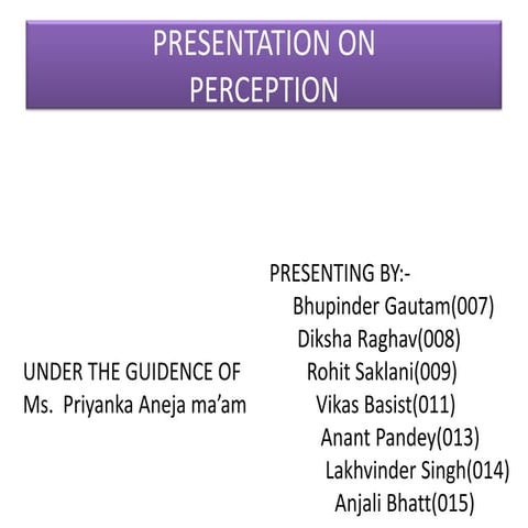 Perception | PPT