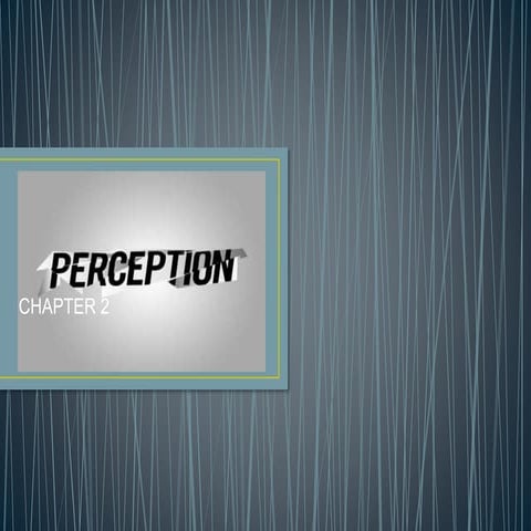 Perception | PPT