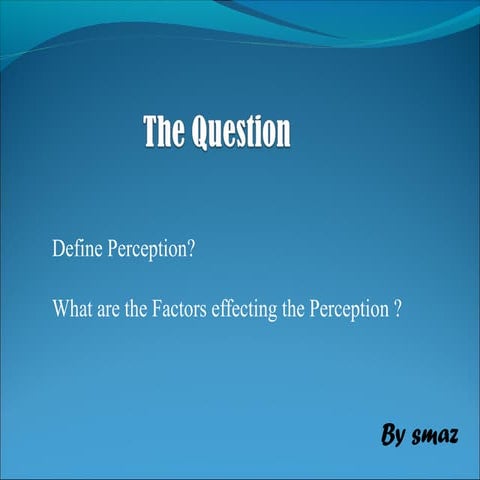 Perception | PPT